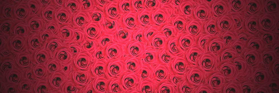 RECOVERY IS A BED by Corinna Schulenburg